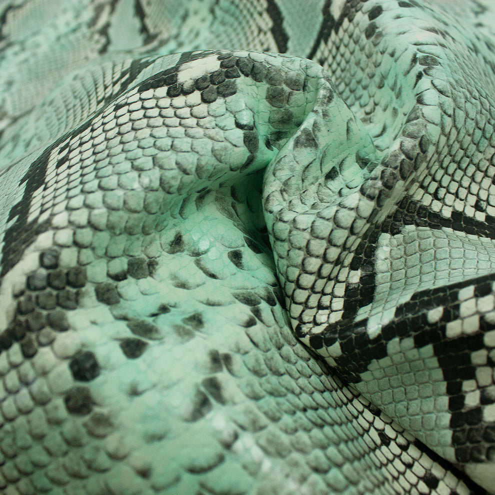 Blue python snake engraving skin - gray – La Tendeta del Cuero
