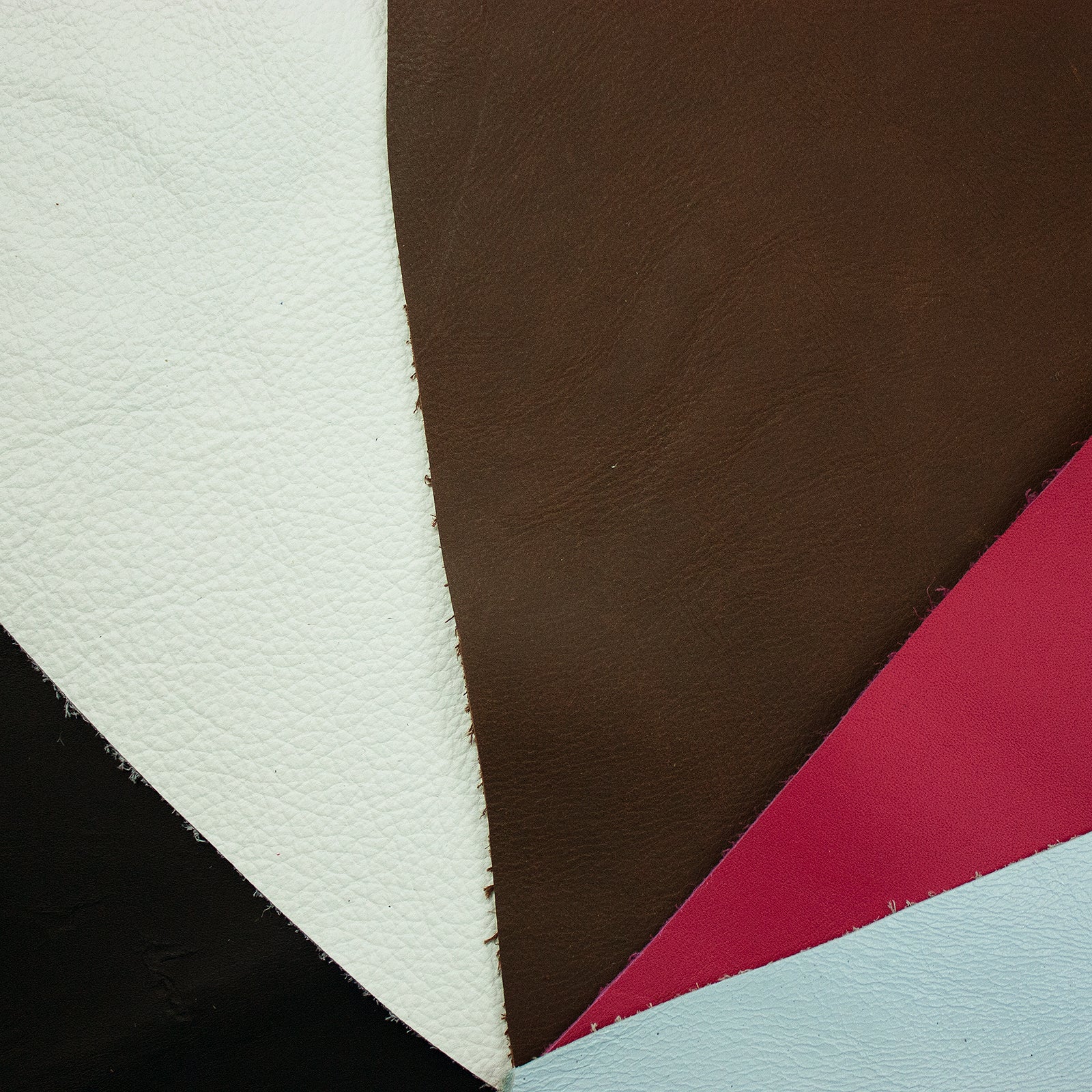 Lot 5 pieces of beef various colors – La Tendeta del Cuero